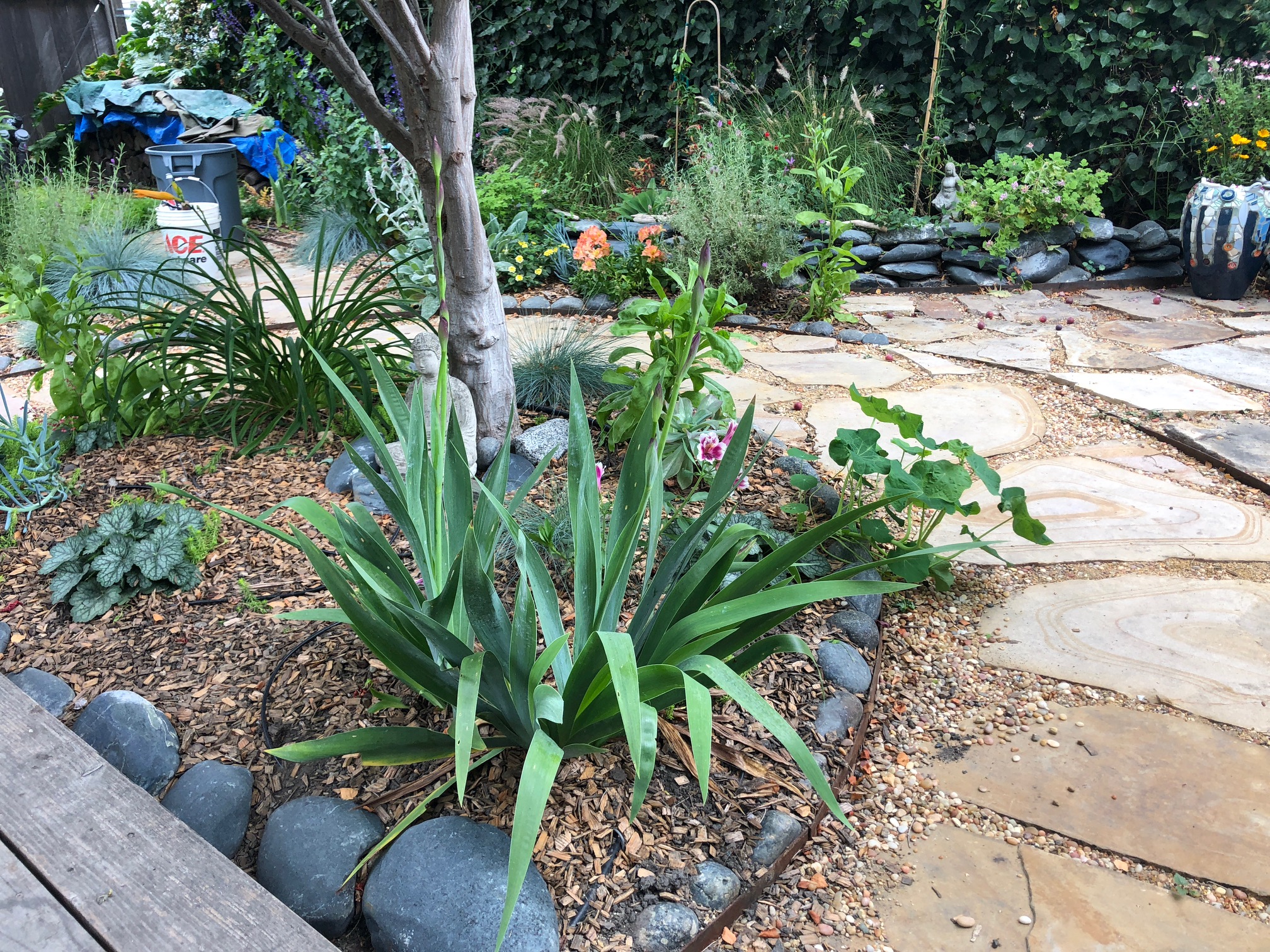 Landscape Design – Gold Finch Designs