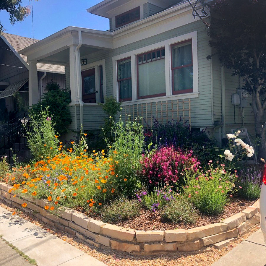 Landscape Design – Gold Finch Designs